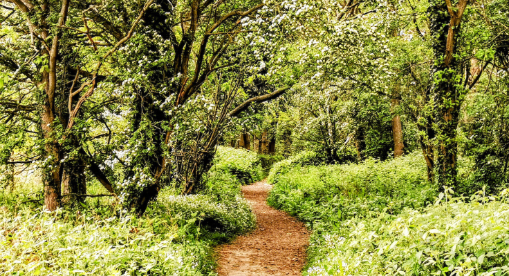 Discover Britain’s favourite paths - Ramblers